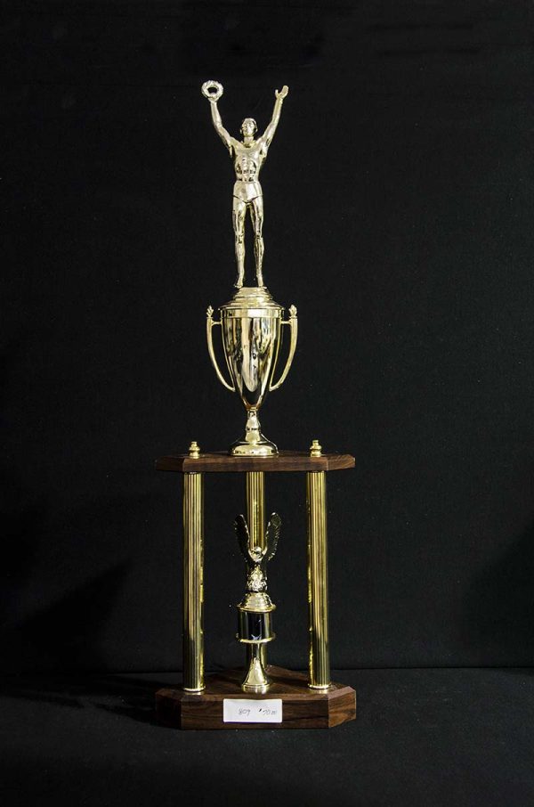 Three column trophy – 809 Series – Michelsons Trophies